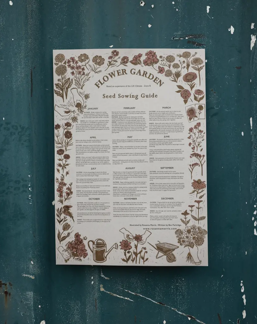 Flower Seed Sowing Guide Poster | BRAMBLE & WILD