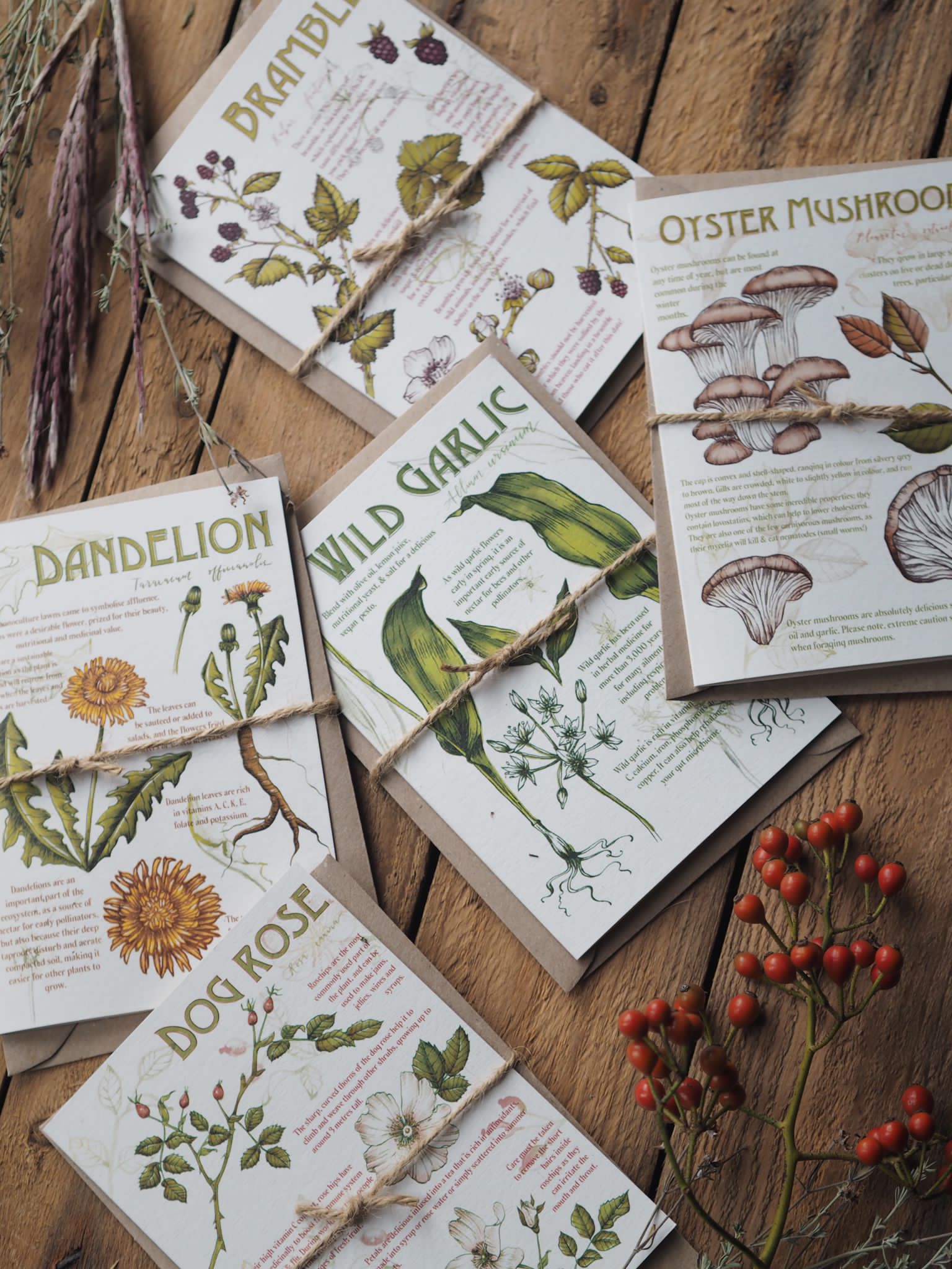 Foraging Cards | BRAMBLE & WILD