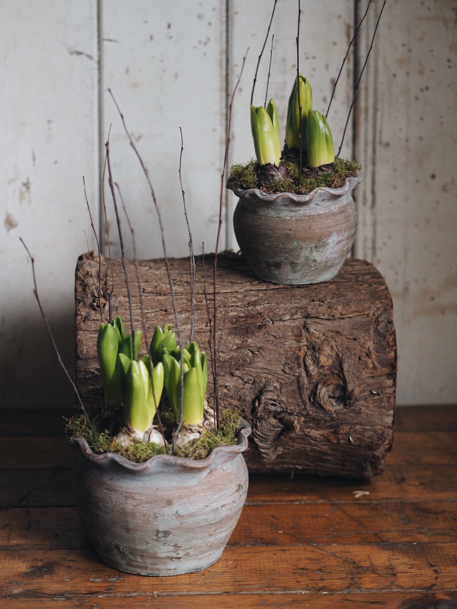 Pie Crust Pots | BRAMBLE & WILD