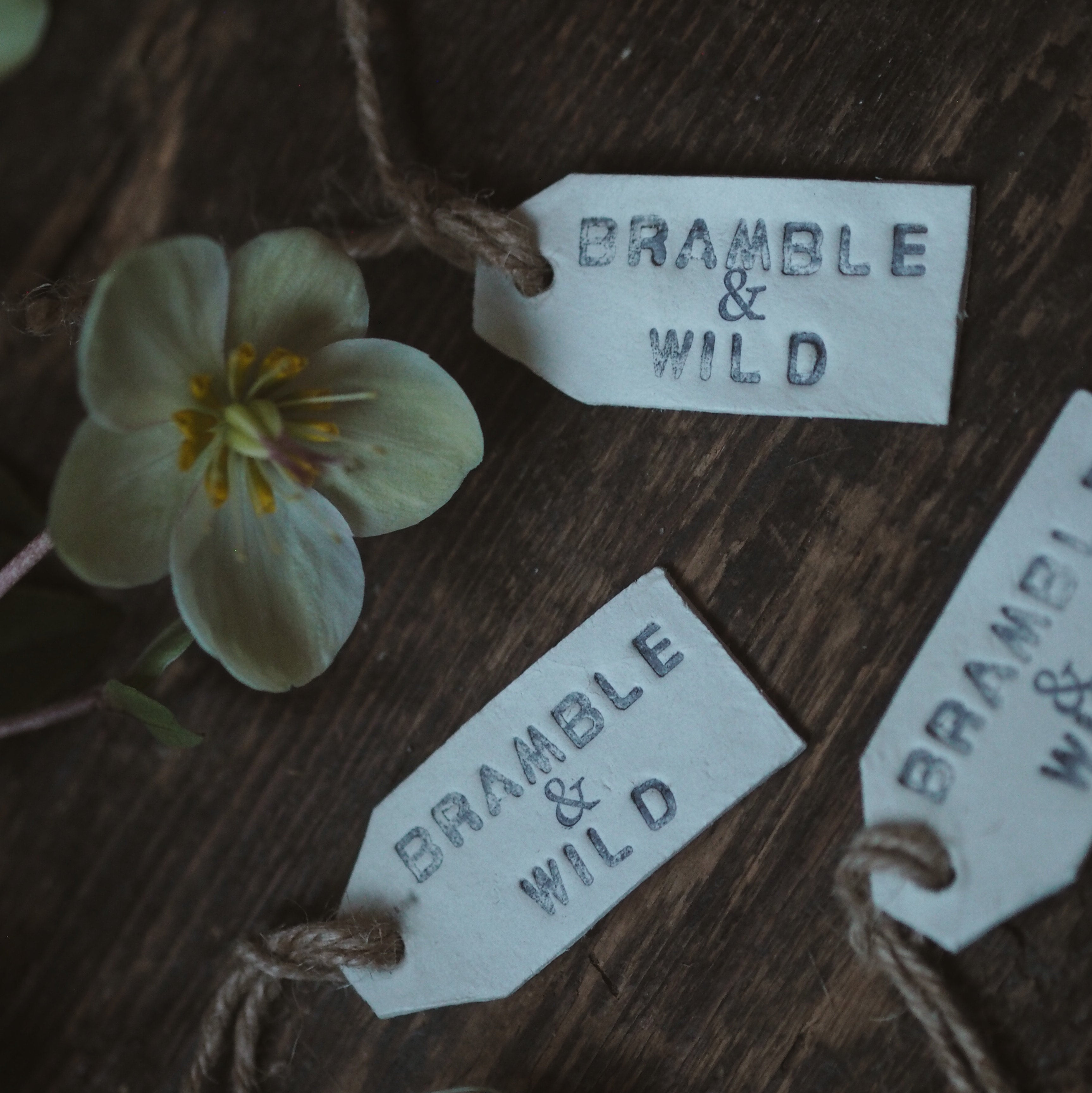 Clay Bramble & Wild | BRAMBLE & WILD