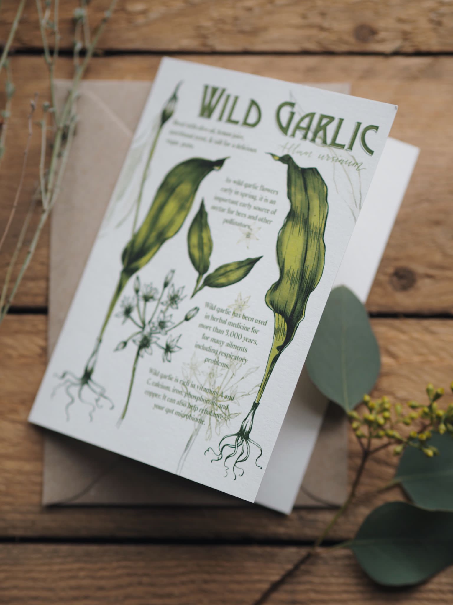 Foraging Cards | BRAMBLE & WILD