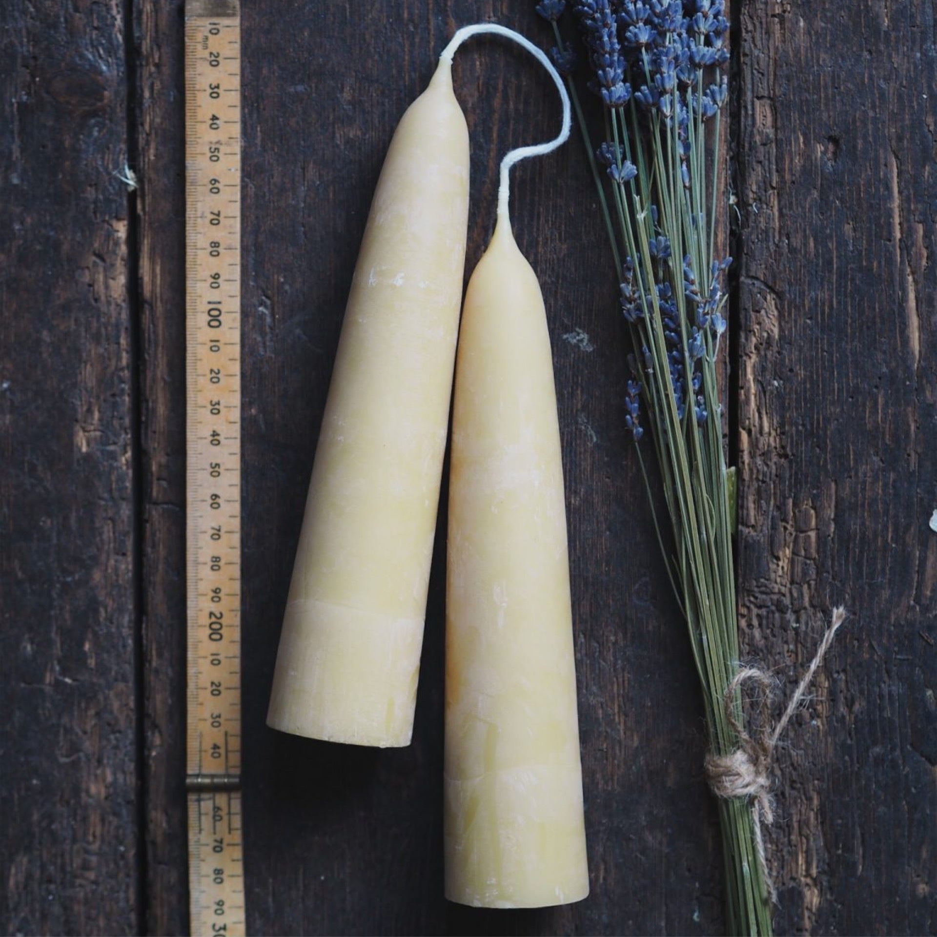 Beeswax 9” Stubbies (Set of 2) | BRAMBLE & WILD