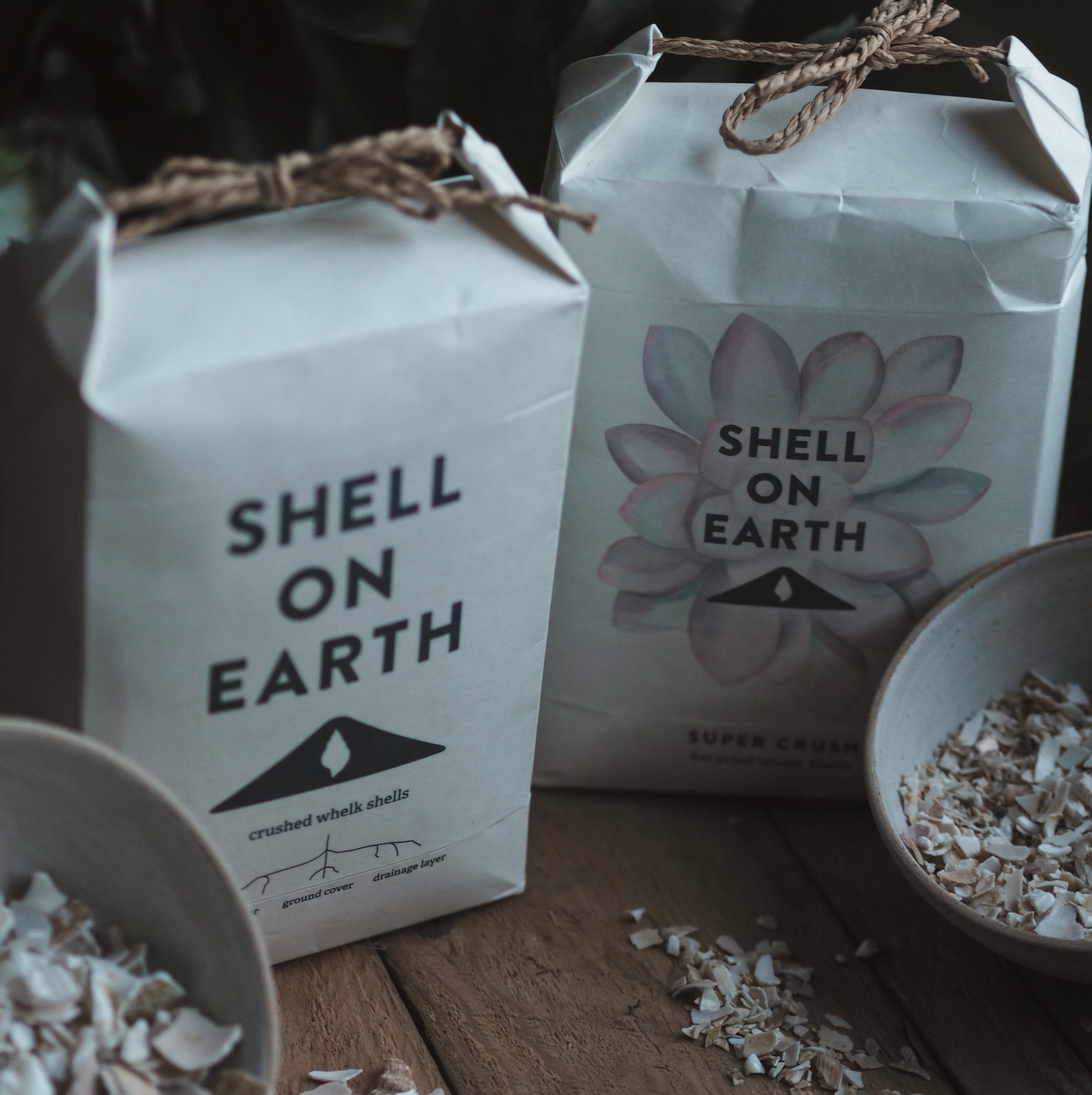 Shell On Earth | Bramble & Wild - Florist In Frome