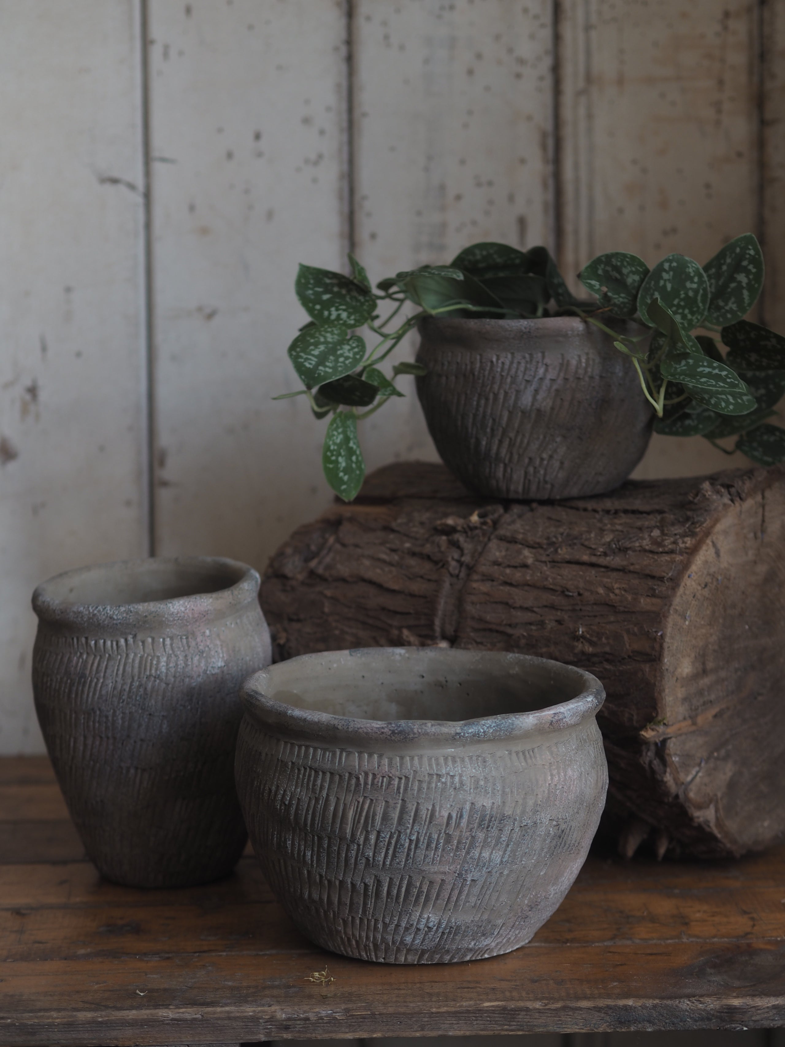 Concrete Style Pots | BRAMBLE & WILD